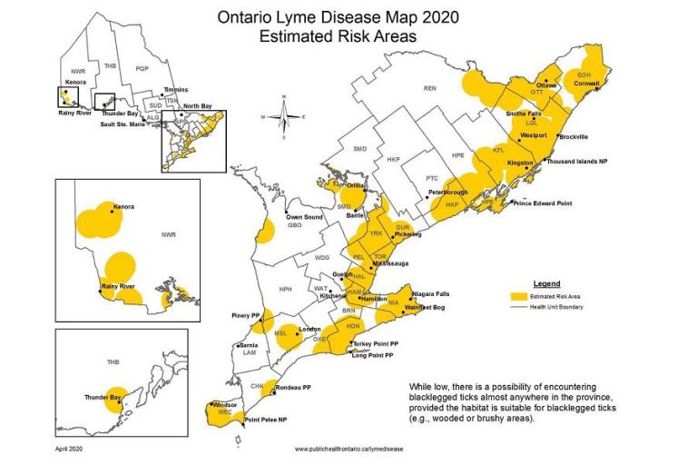 Peterborough Public Health identifies first tick of 2020 season ...