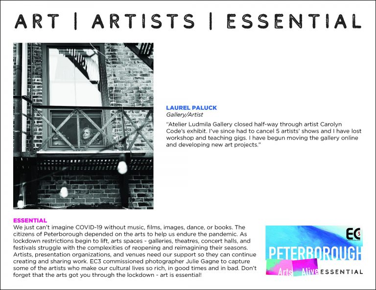 The Essential Project: gallery/artist Laurel Paluck | kawarthaNOW