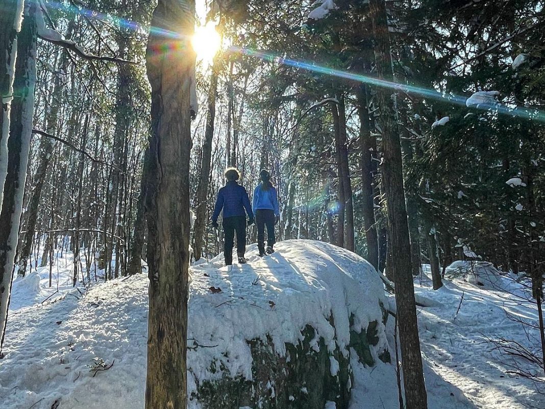 Experience the natural beauty of your own backyard during the Hike ...