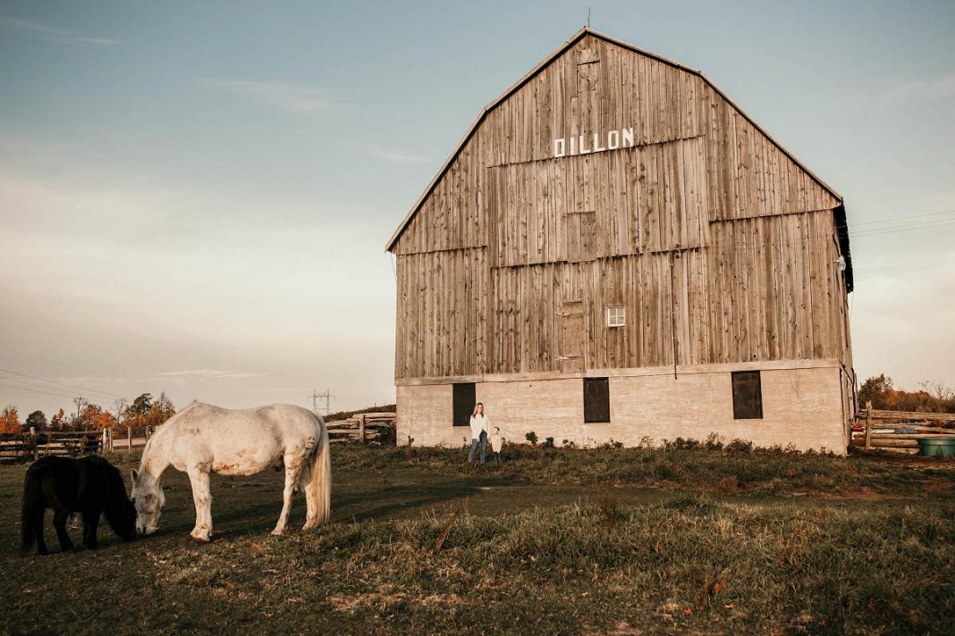 Douro’s Stonefields Farm has grown into more than a hobby farm of ...