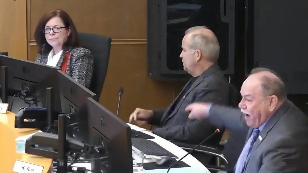 ‘I’m not afraid of this mayor’: Sarah McNeilly launches GoFundMe to ...