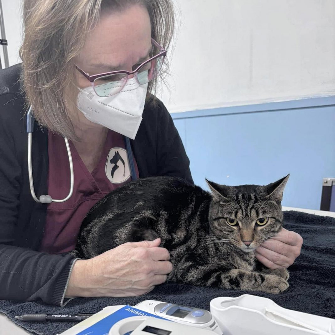 Peterborough Veterinary Outreach helps residents receiving social ...
