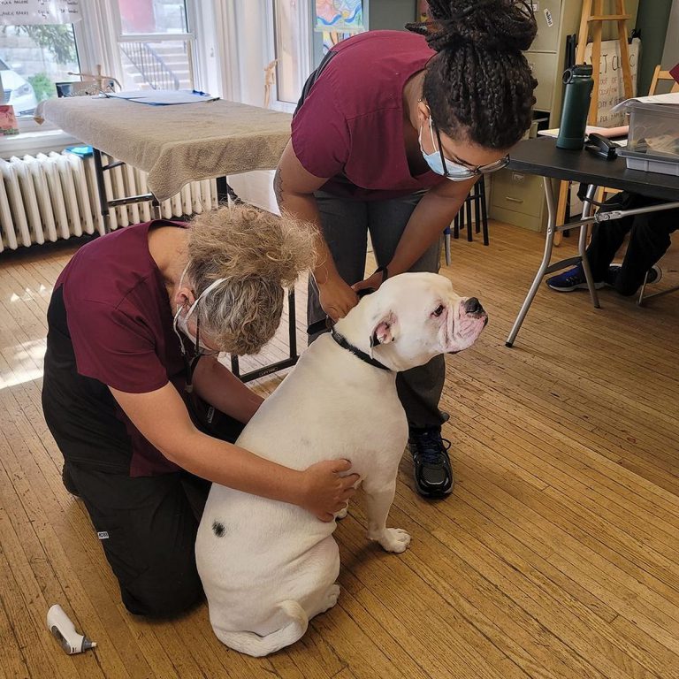 Peterborough Veterinary Outreach helps residents receiving social ...